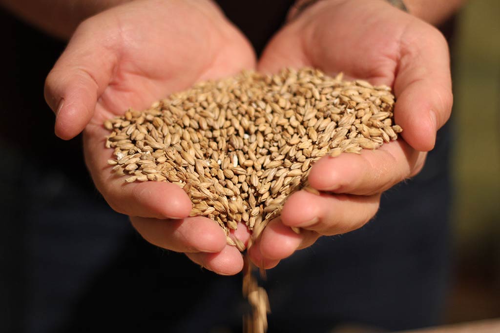 Smakinger | Kurs om øl | Øl og mat | Oslo | Ølakademiet AS